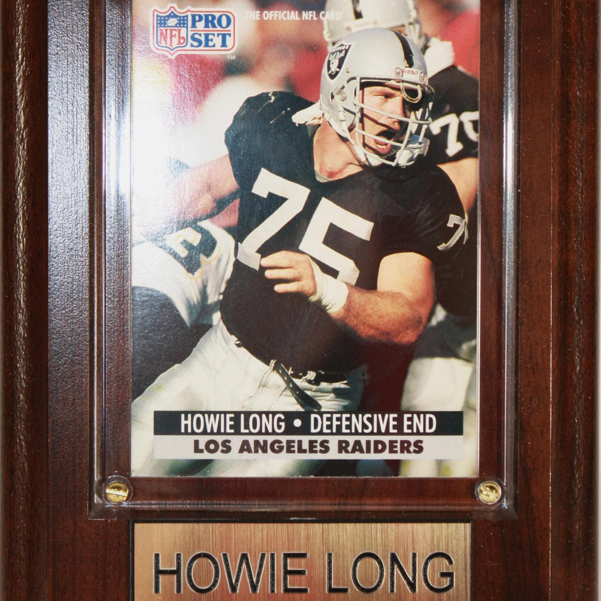 Howie Long 4x6 Plaque – Pro Football Hall of Fame